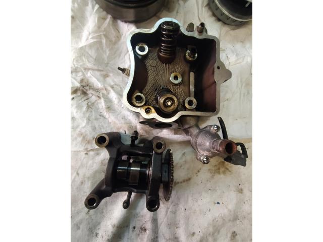 Testata completa Malaguti centro 160 Bisceglie - AnnunciToday.it