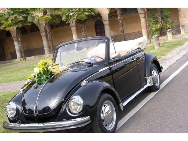 NOLEGGIO MAGGIOLONE PER MATRIMONI Forlì - AnnunciToday.it